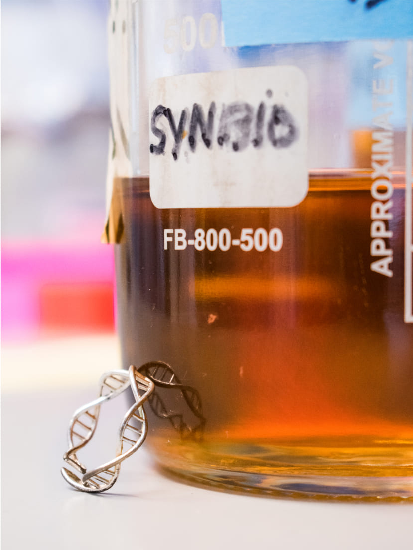 Synbio – Translational Synthetic Biology lab